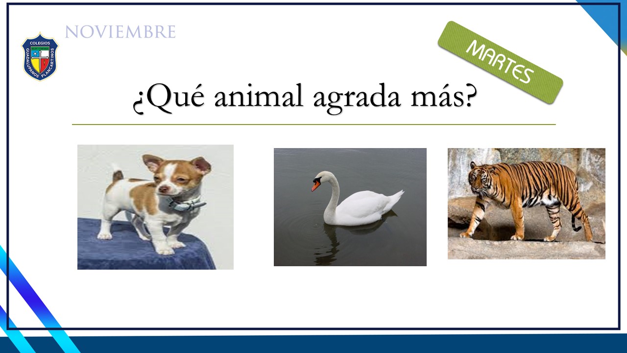 Pensamiento Matemático – 3ro-Dic- Sem. 14 – CGP